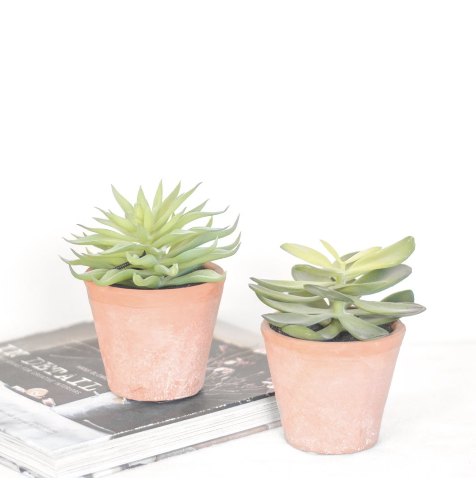 Shop – Only Prettier Design